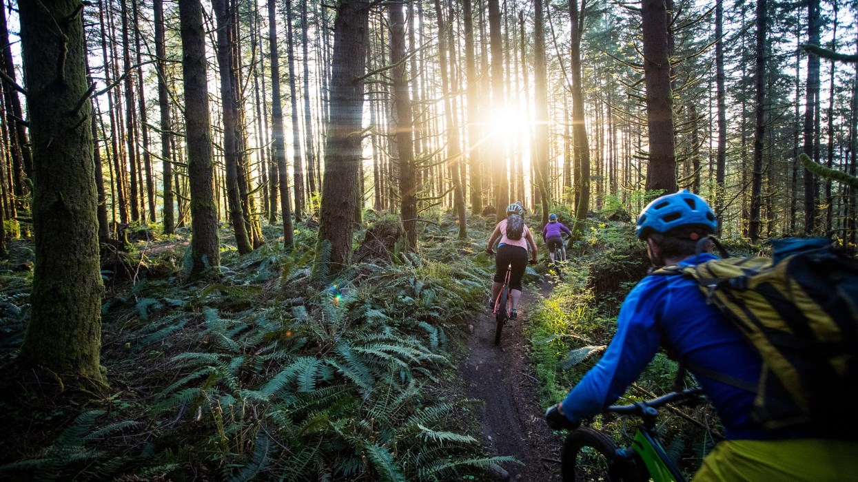 Seattle Mountain Bike Tours | Mountain Biking - Seattle, WA